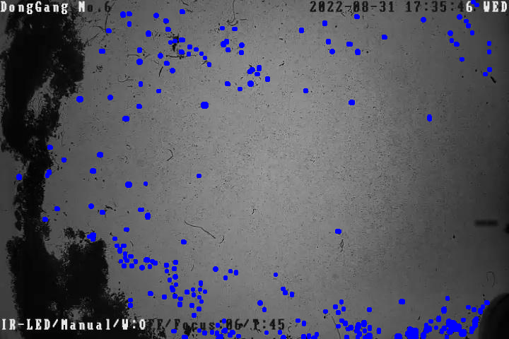 mix Instance Segmentation Dataset by shrimp