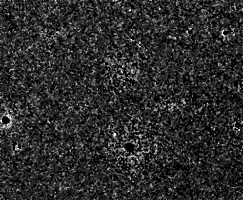 Supernova Detection Roboflow Universe