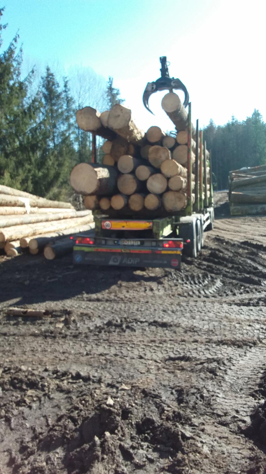 Wood Pile Segmentation Instance Segmentation Dataset and Pre-Trained Model by lukaaashis