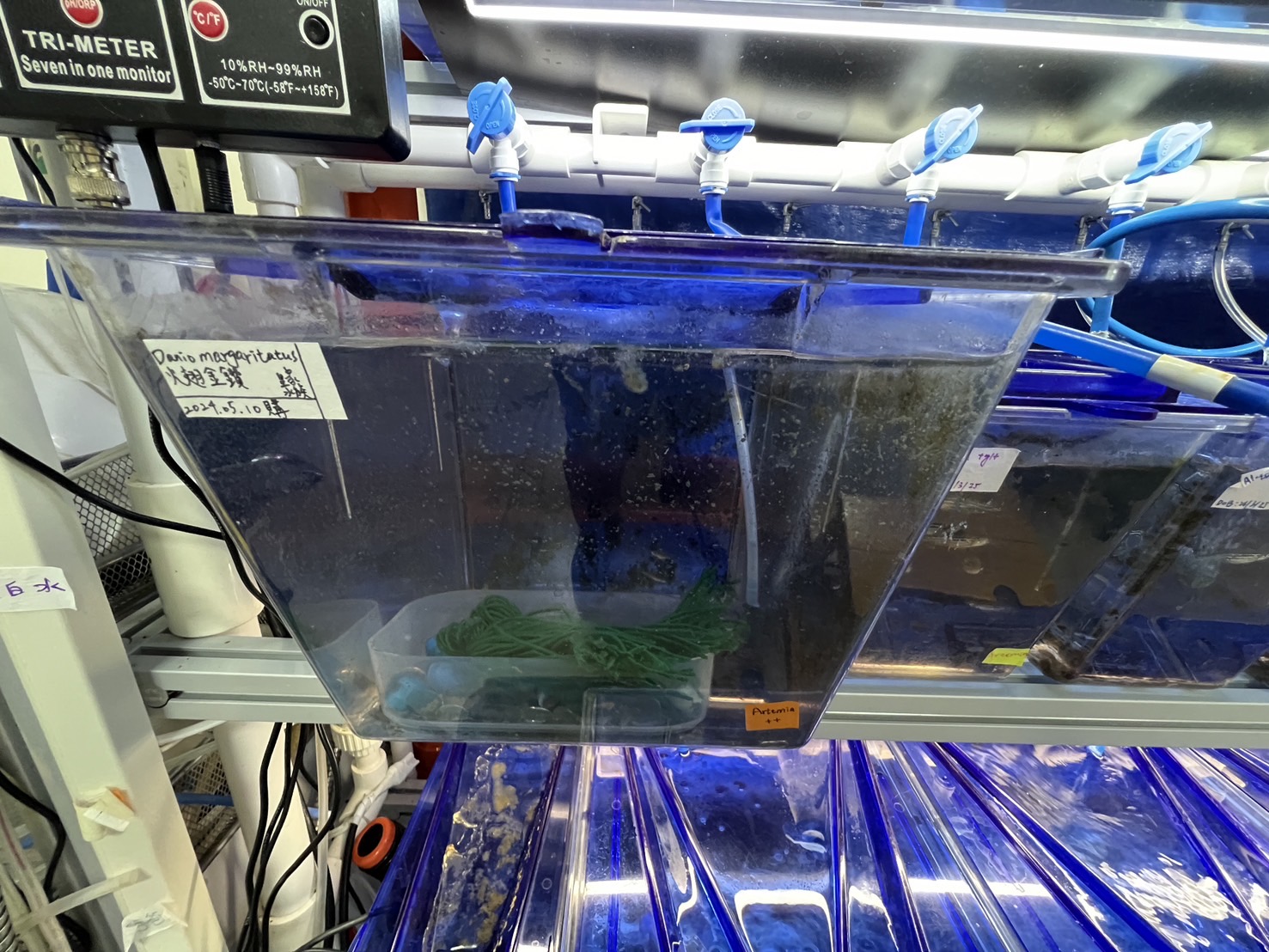 Autofeeder Keypoint Detection Dataset by seven