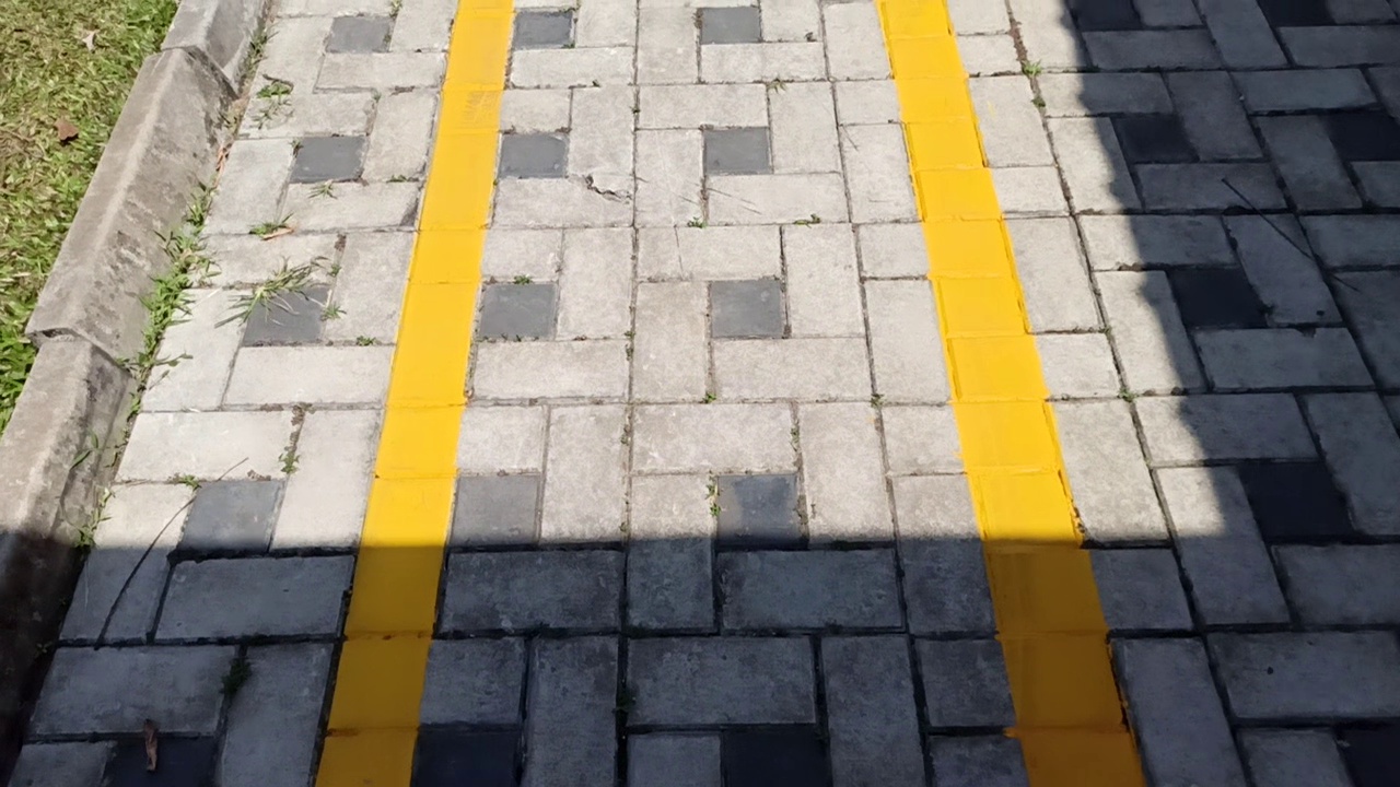 yellow_line Instance Segmentation Model by Akash Ranathunga