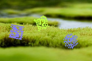 Geetest4 Object Detection Dataset by Geetest