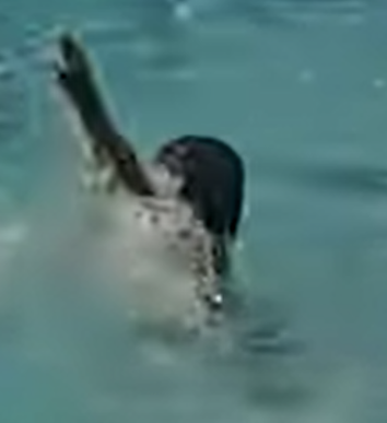 Drowning Isolate DATASET Object Detection Dataset by UiTM