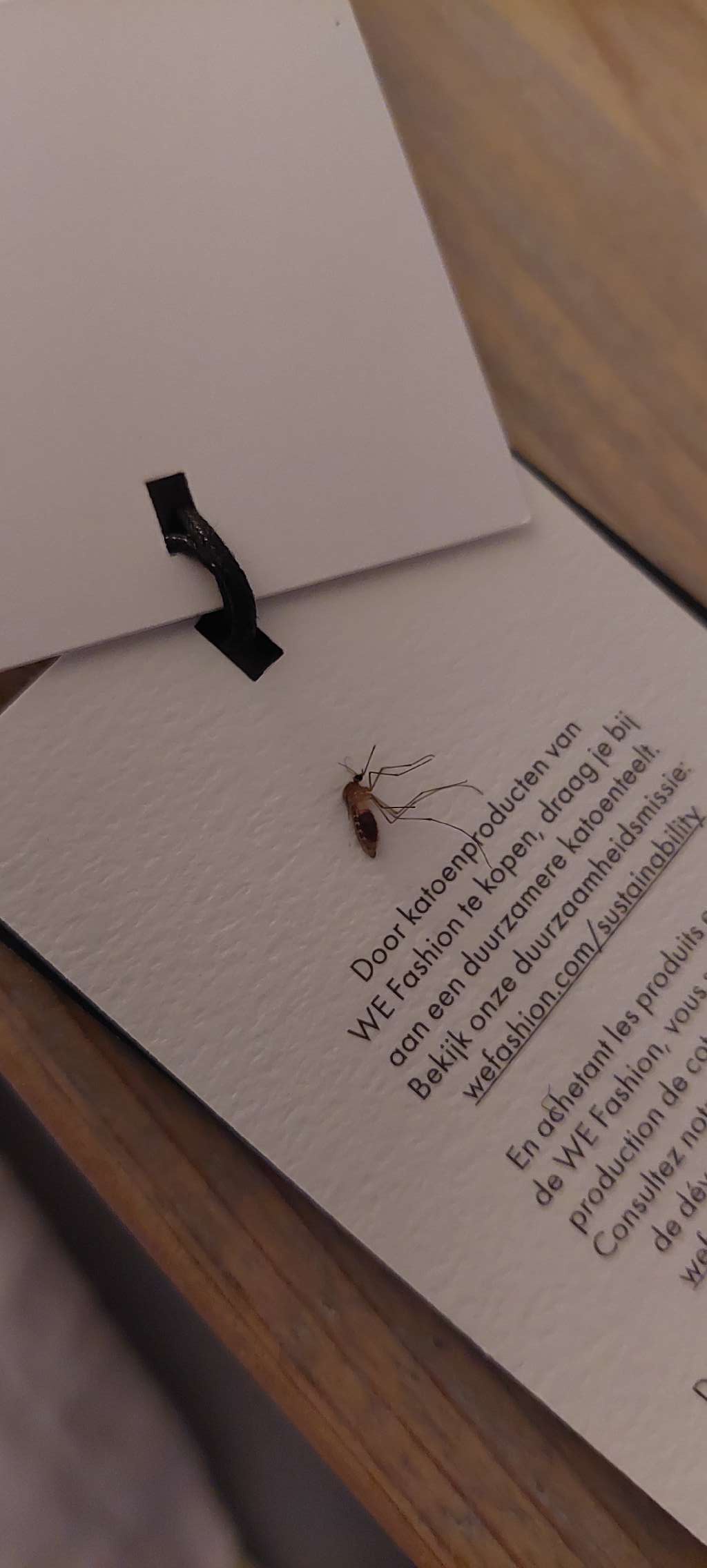 Mosquito Detection Dataset Object Detection Model by My First Project