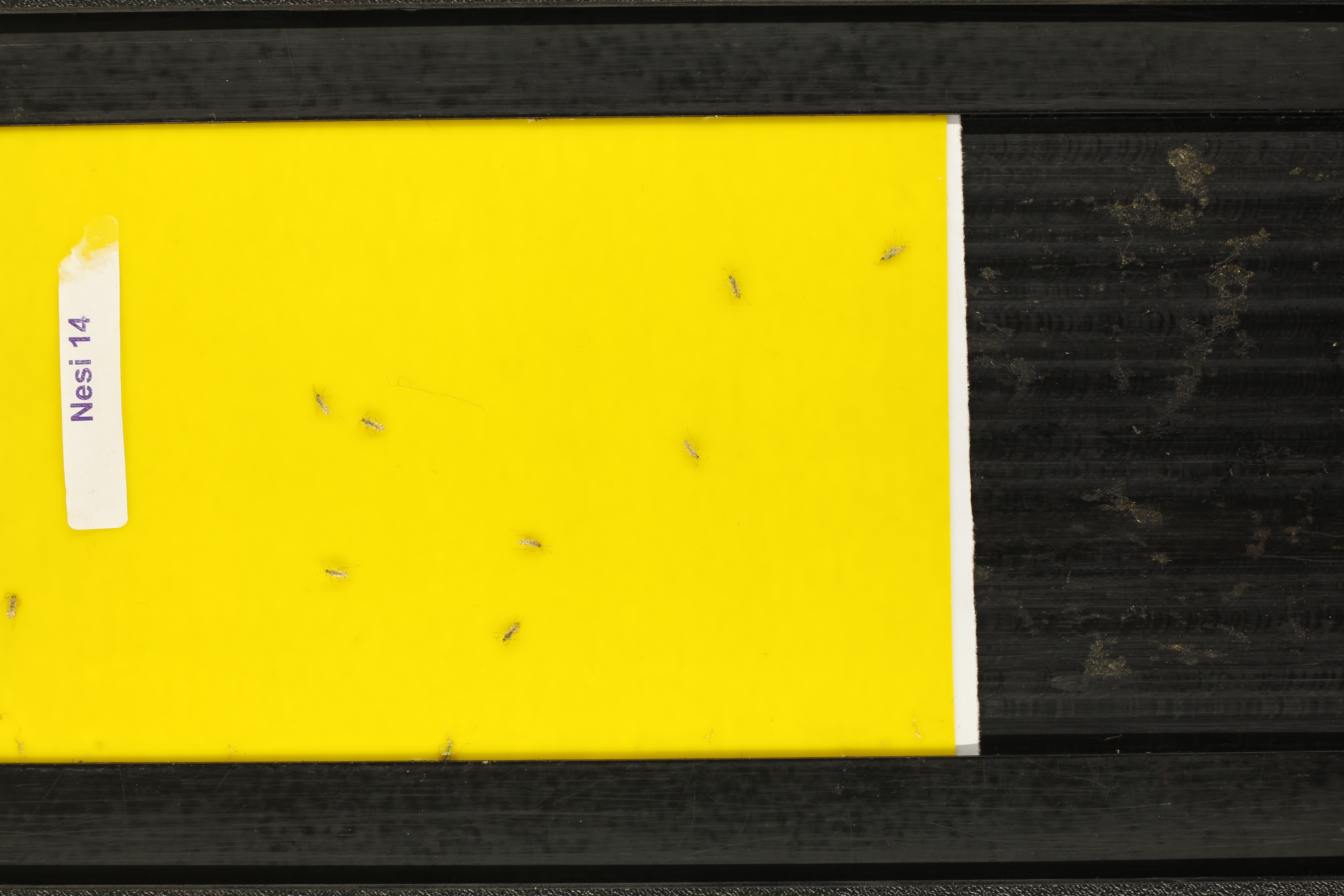 INS Object Detection Dataset by new-workspace-0x3rn