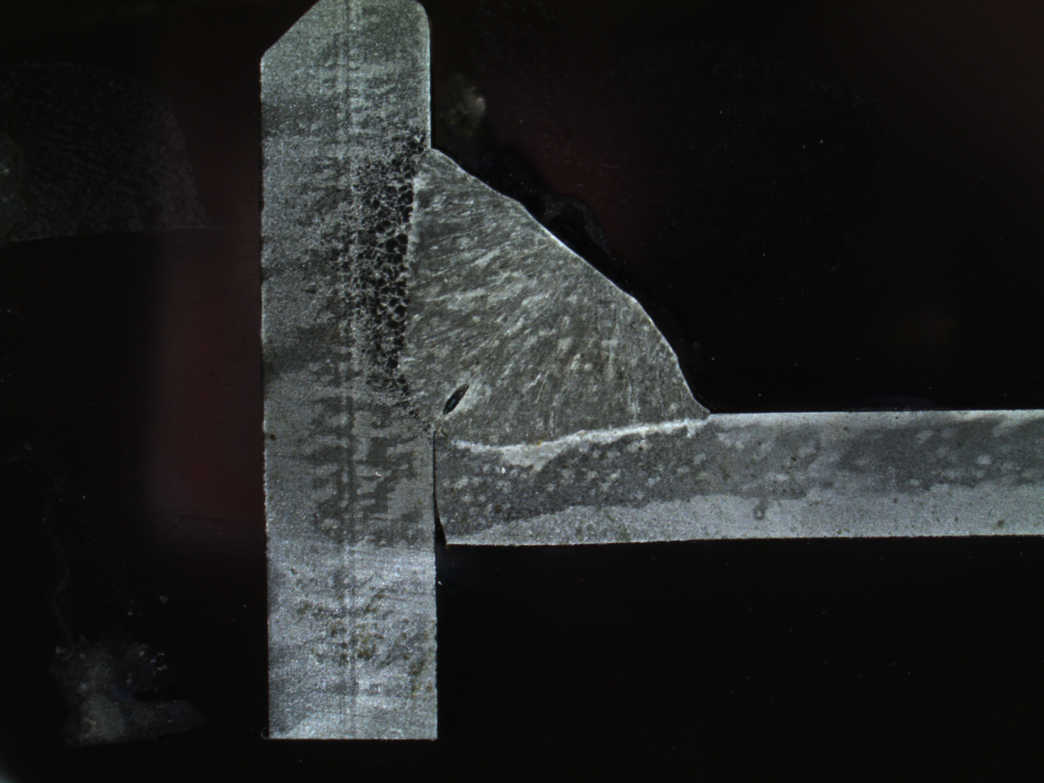 ta Object Detection Dataset by vippro