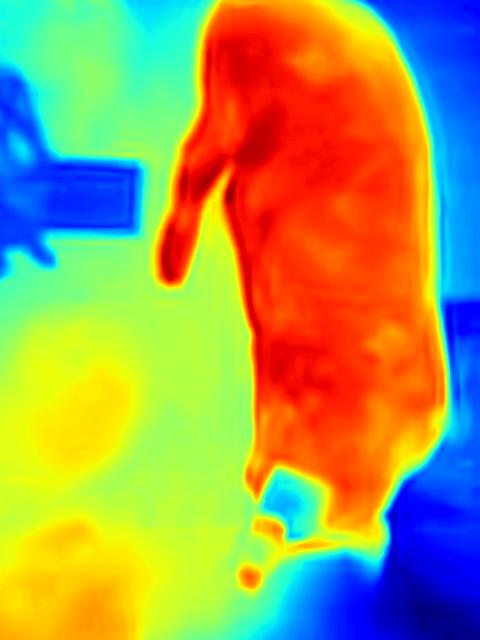 thermal pig segmentation Instance Segmentation Dataset by Termo