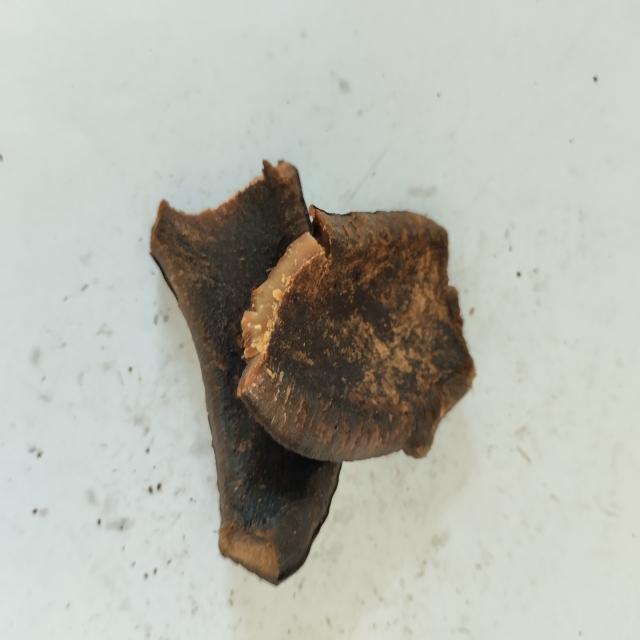 Copra Mold Object Detection Dataset And Pre Trained Model By Resnet50