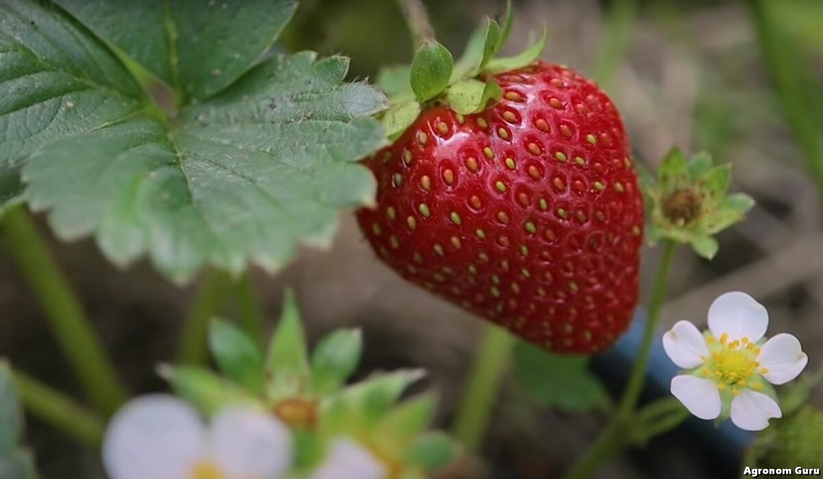 lab4 (lab4-ofvyp) - Roboflow Universe