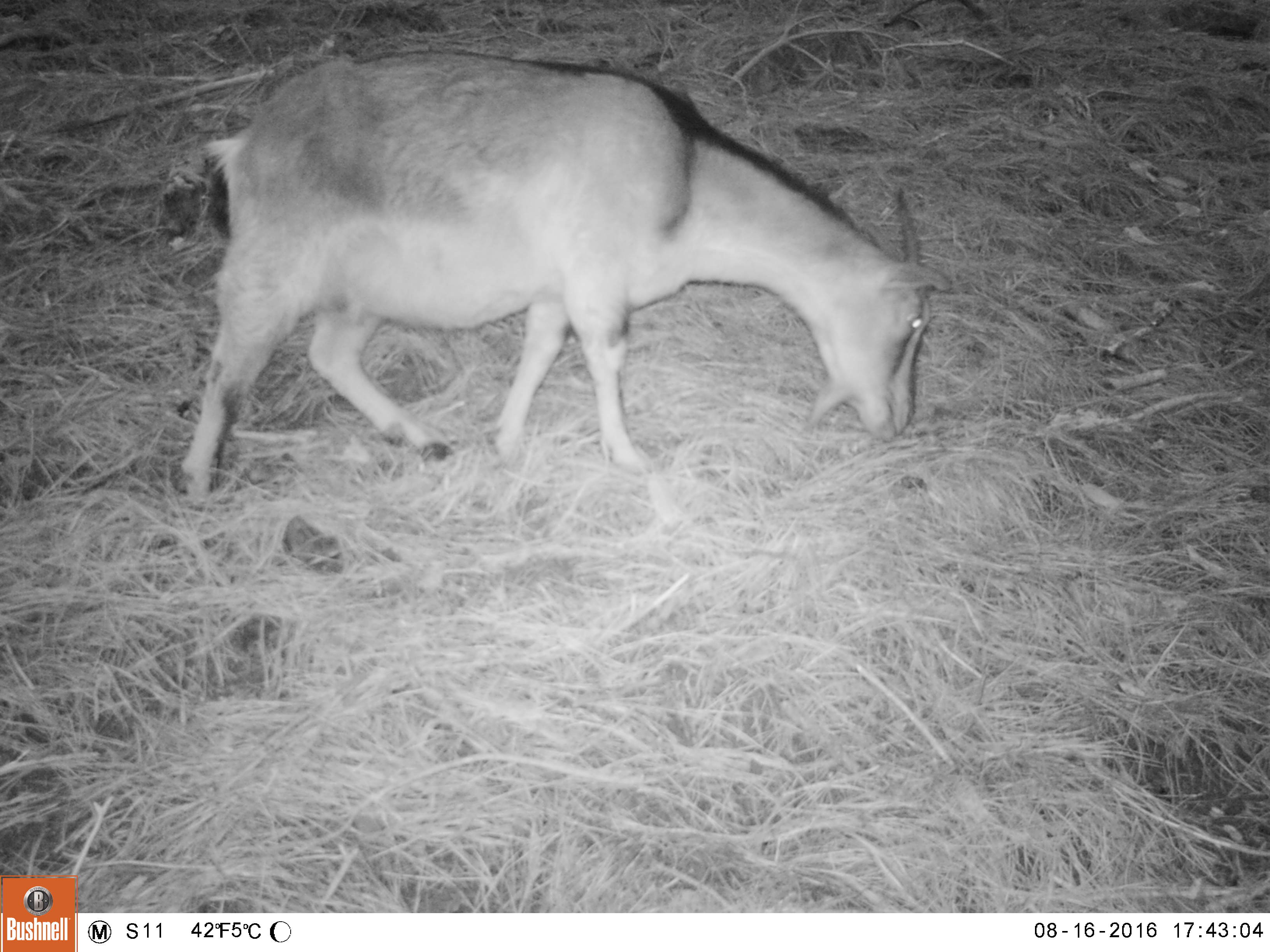 chenyang wang (chenyang-wang-qmkaq) - Roboflow Universe