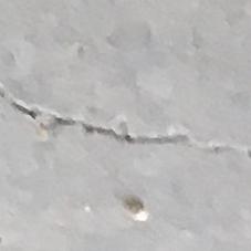 Crack_Detection Object Detection Dataset and Pre-Trained Model by 111