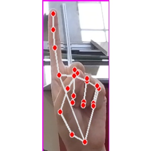 Hand gesture Object Detection Dataset and Pre-Trained Model by Ho Chi ...