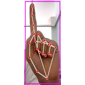 HAND_DETECTOR Object Detection Dataset and Pre-Trained Model by Ho Chi Minh City University of ...