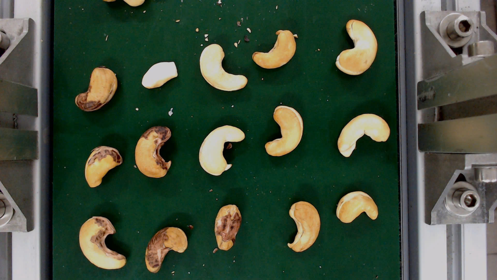 Cashew 2 Object Detection Dataset by Vietnam National University Hanoi