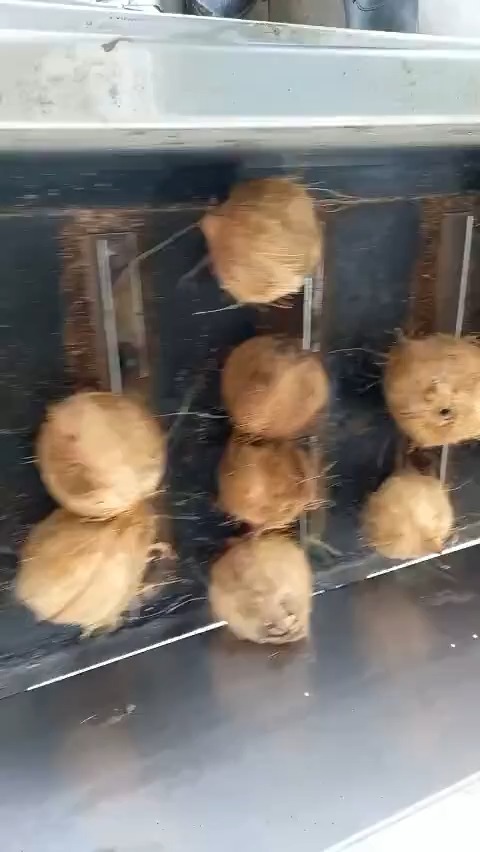 Coconut Counting Object Detection Dataset By Coconutcounting