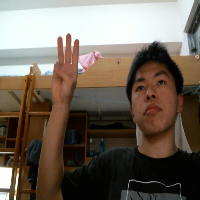 Gesture Recognition Object Detection Dataset By Project Psfuu