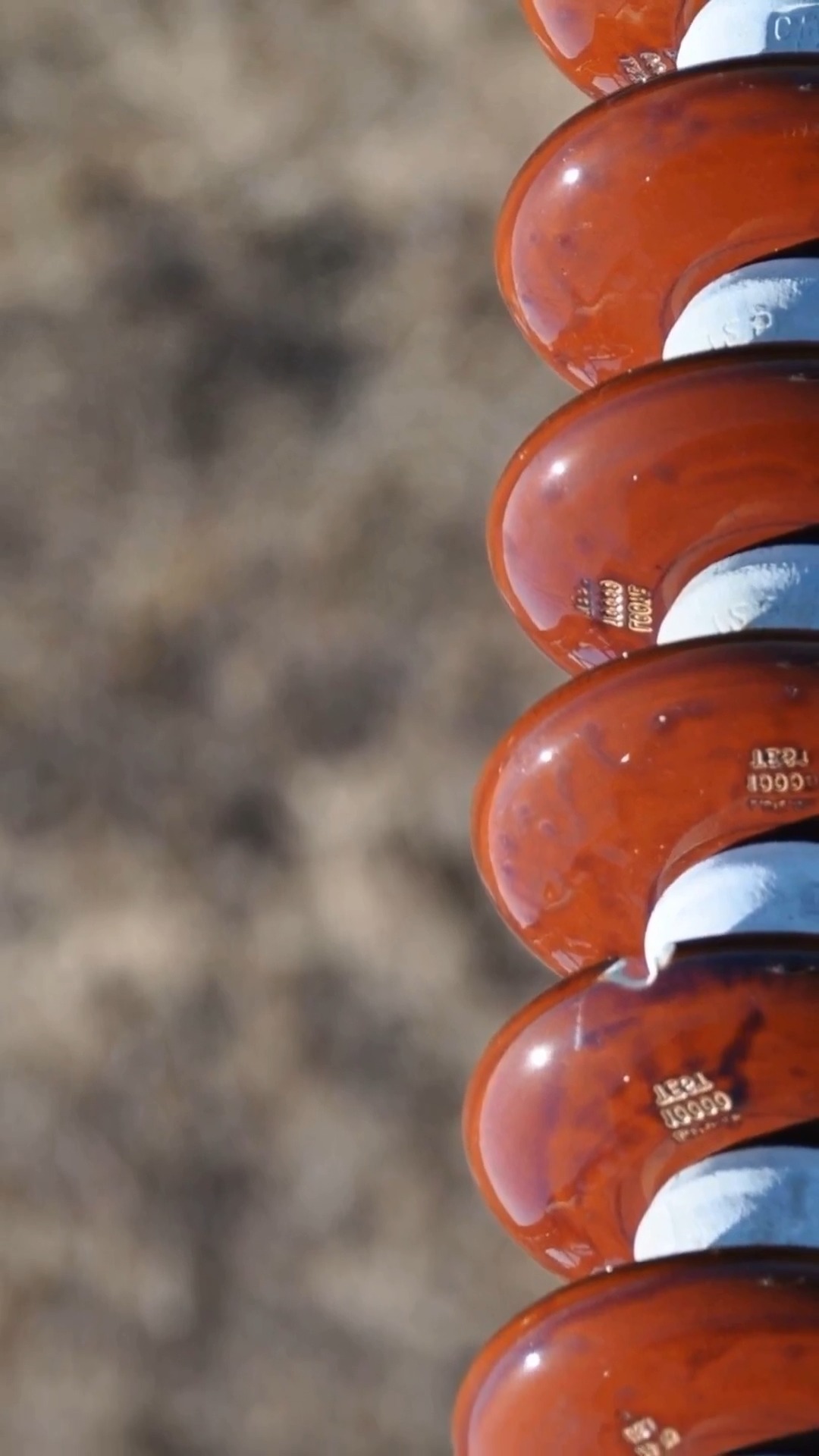 ZIA ULLAH (zia-ullah-trylr) - Roboflow Universe