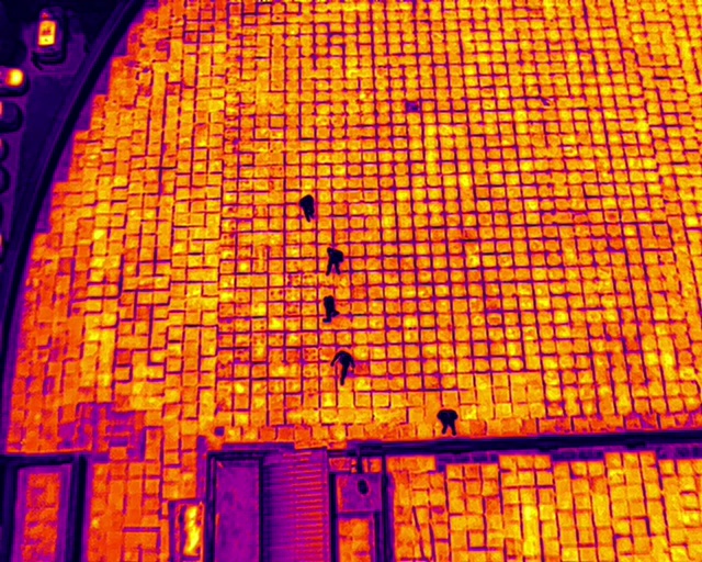 person_v6 Object Detection Model by personal projects