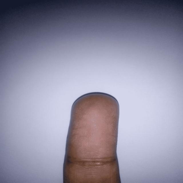 Finger_detect_tip_only Object Detection Dataset by UIDAIBiomatch