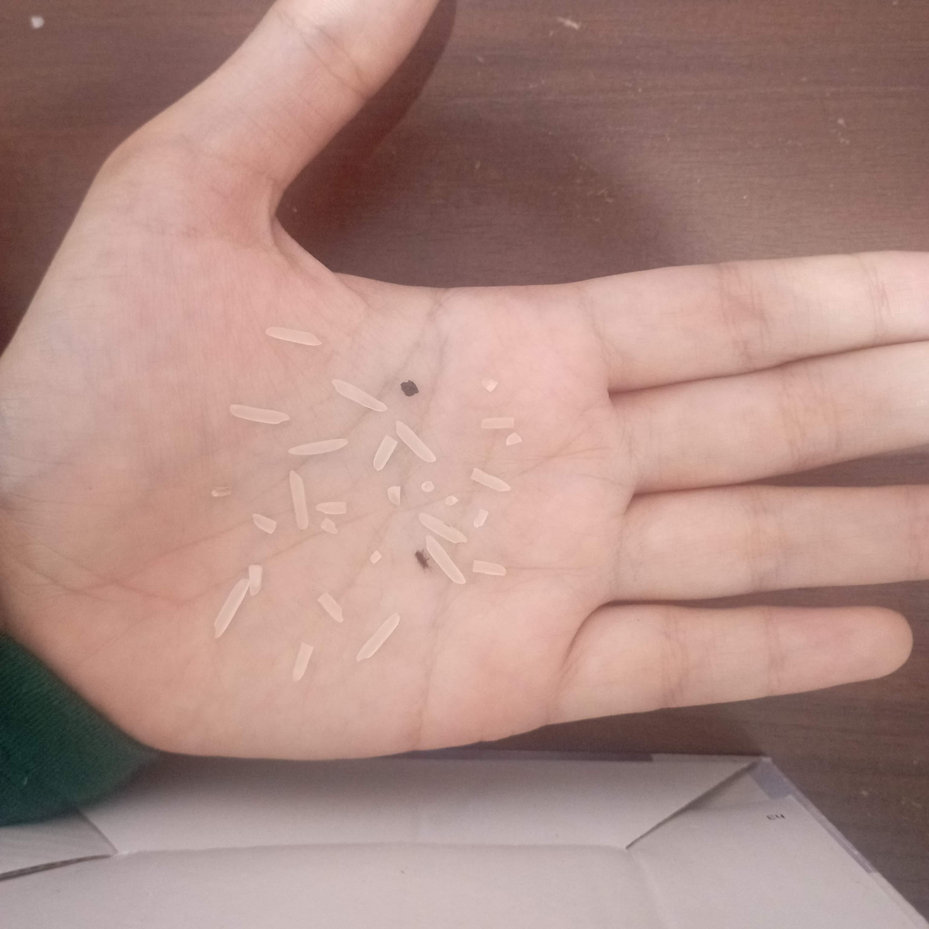 Long Rice Grains Segmentation Instance Segmentation Dataset By Lutfiandri