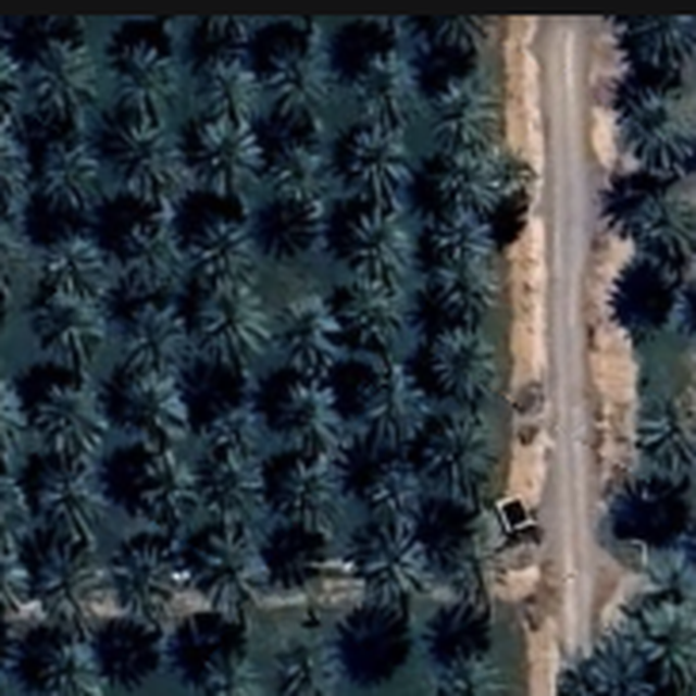 Dragon Fruit Detection Object Detection Dataset By Aia