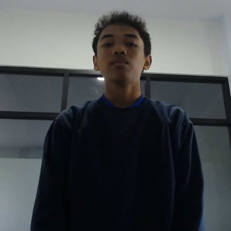 Custom Workflow Object Detection Object Detection Dataset by Anto