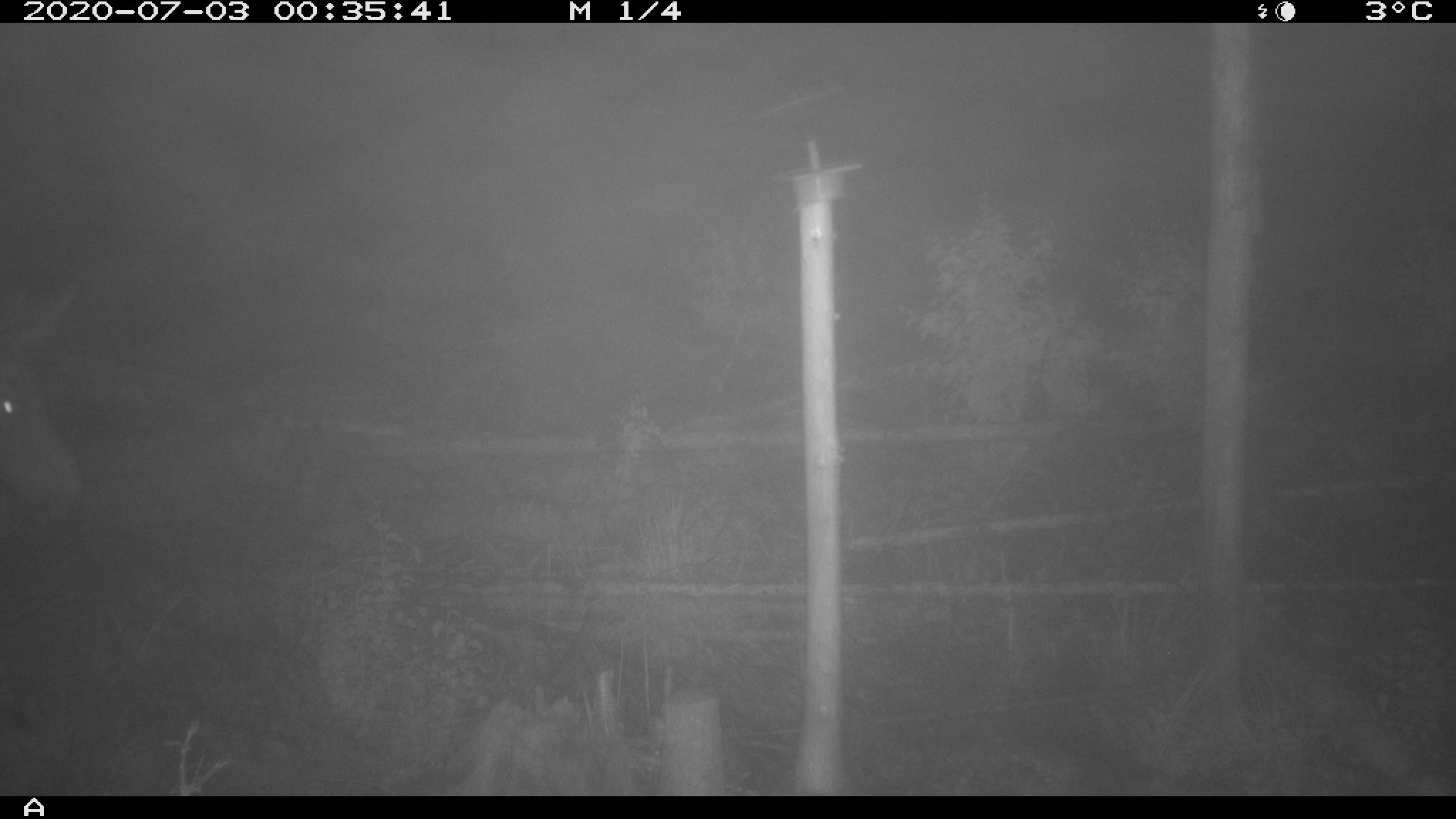 Moose_test Object Detection Model by Moosetest
