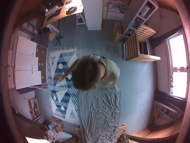 combined1 Object Detection Dataset by Tim Schulz