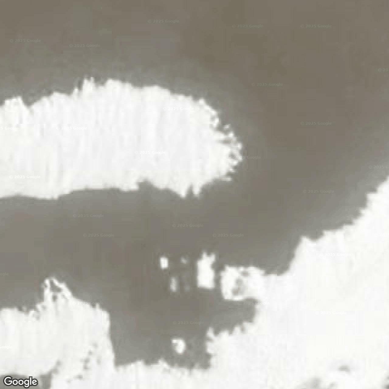 Dataset tree - Roboflow Universe