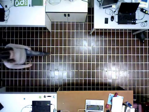 videoplayback Object Detection Dataset by Parth