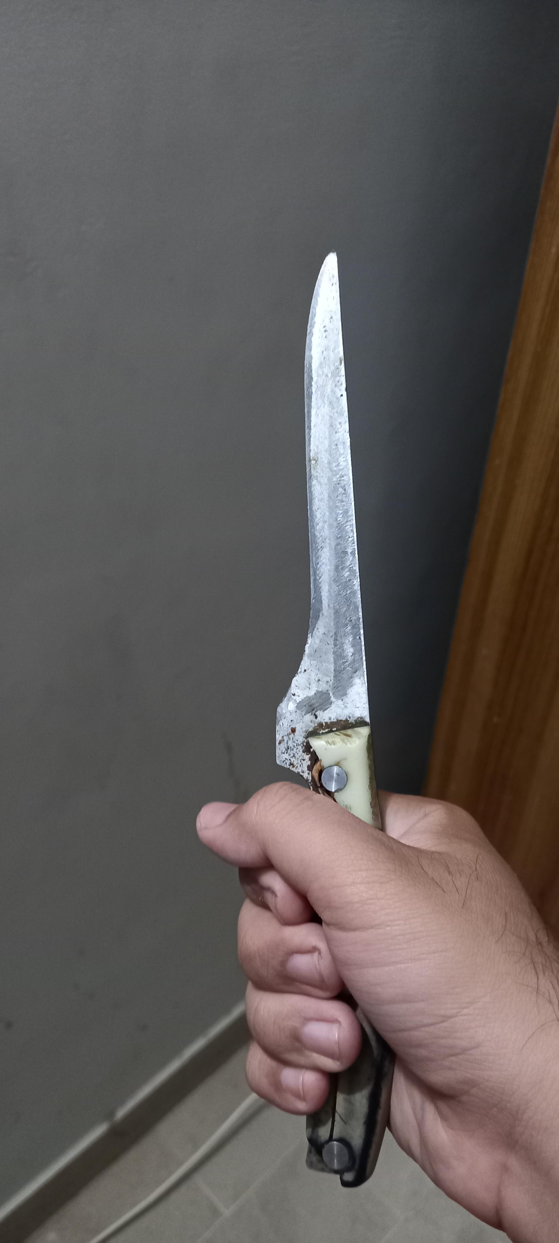 dangerous Objects Object Detection Dataset by HappymonkAI