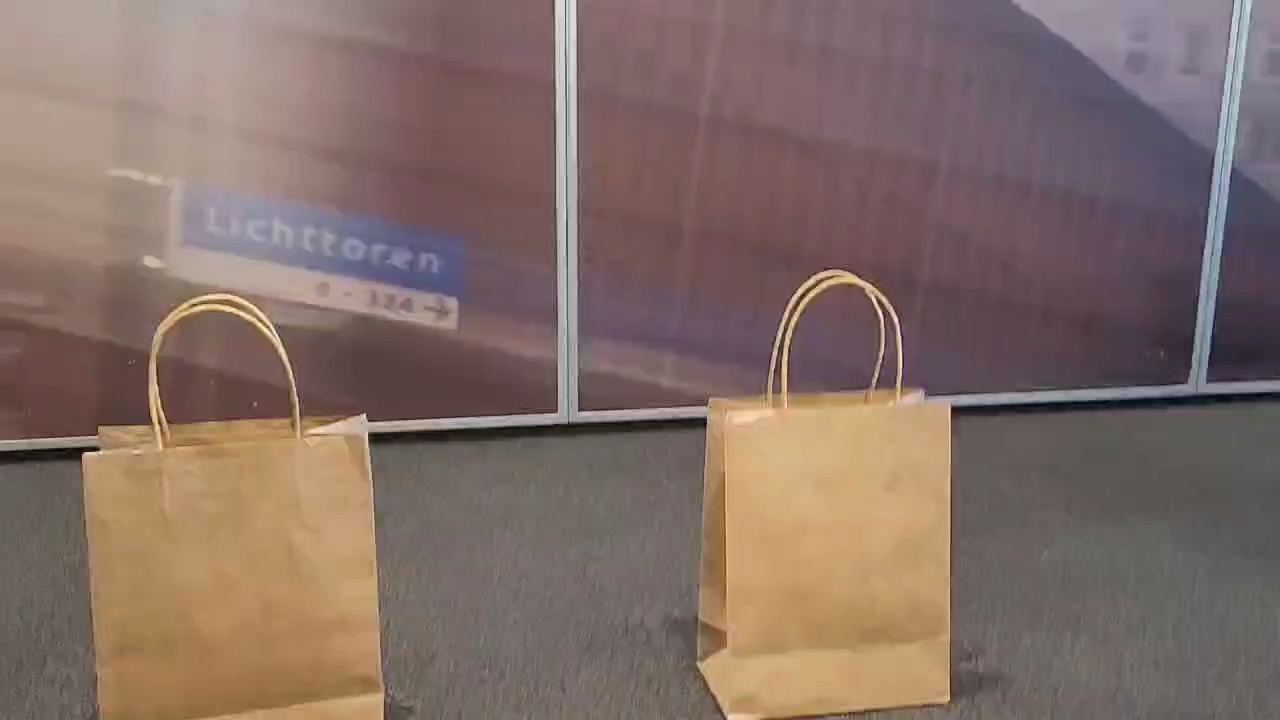 nl_bag_two Object Detection Dataset by 08