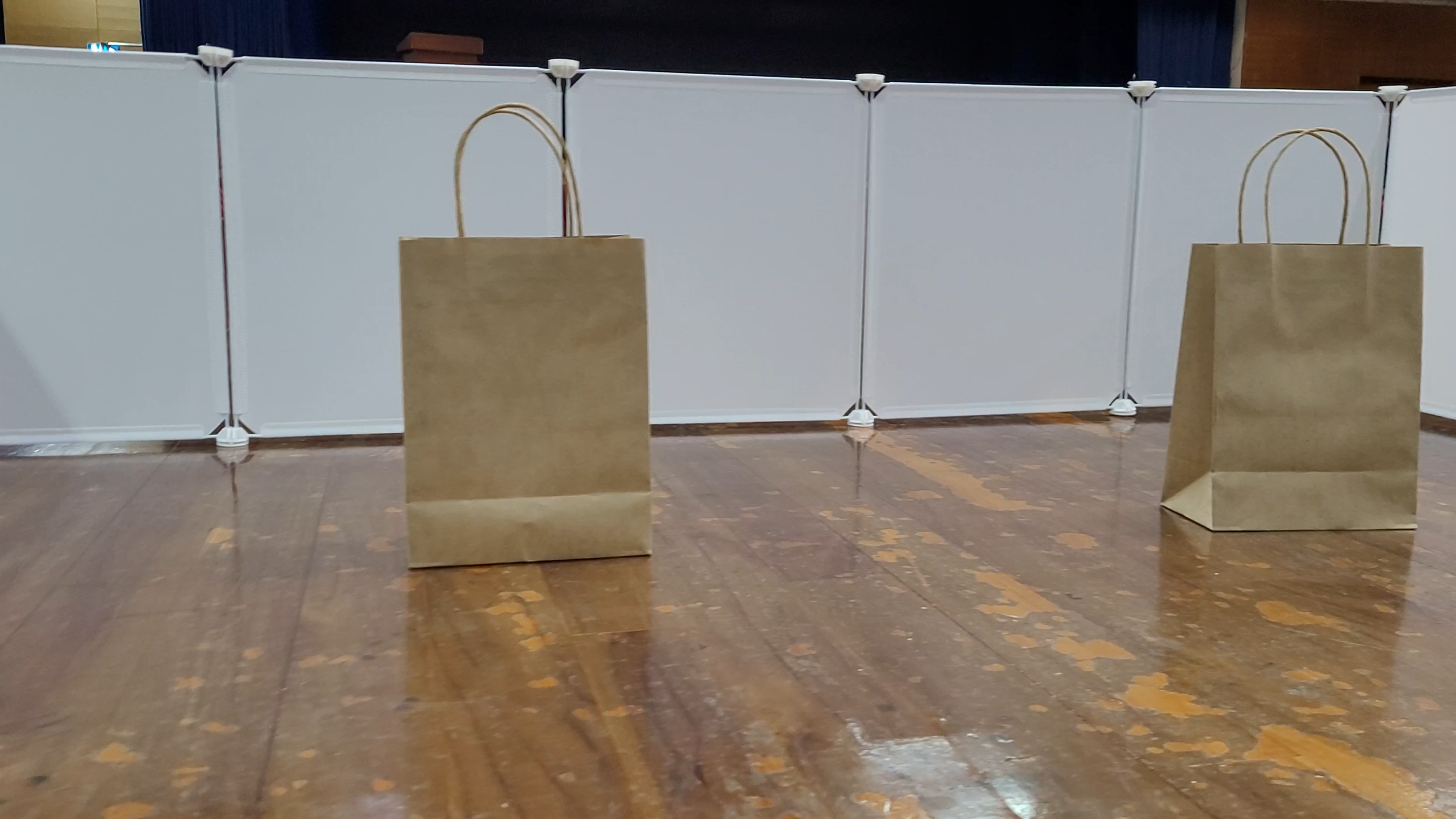 Bag Model Object Detection Dataset By 08