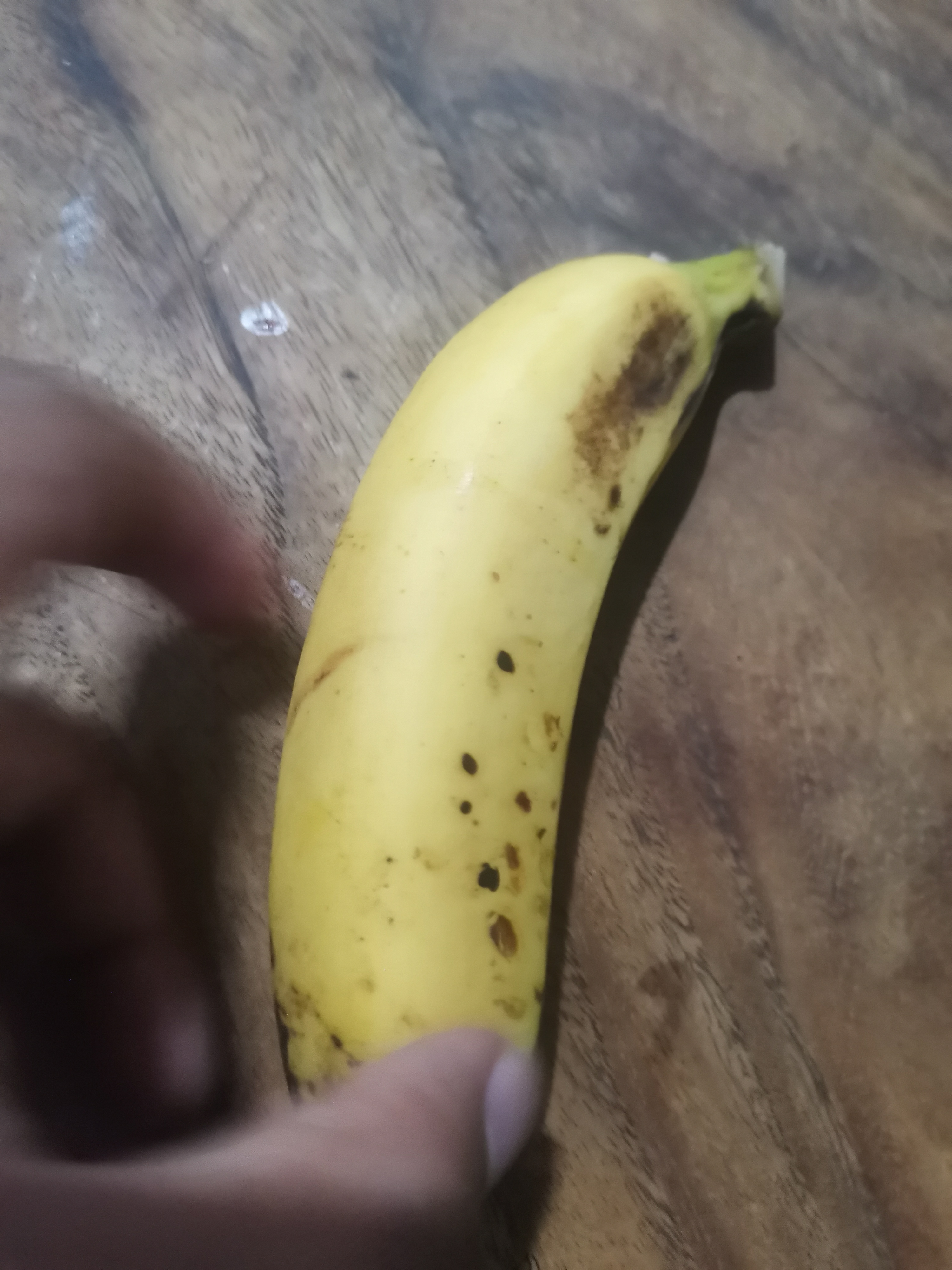 Banana Instance Segmentation Model (v2, 2025-10-12 5:08pm) by Bully