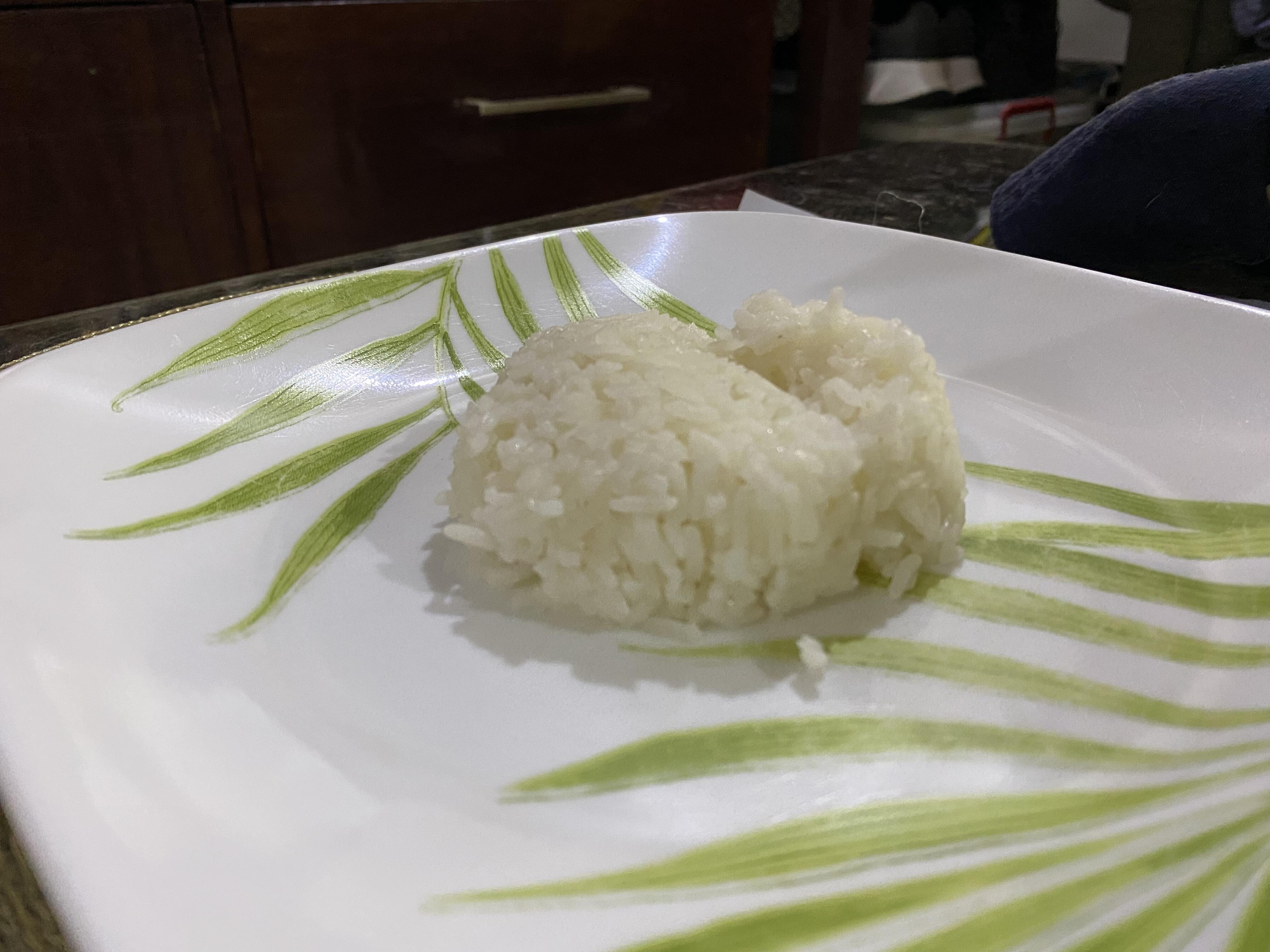 Rice 2 Instance Segmentation Dataset by Bully