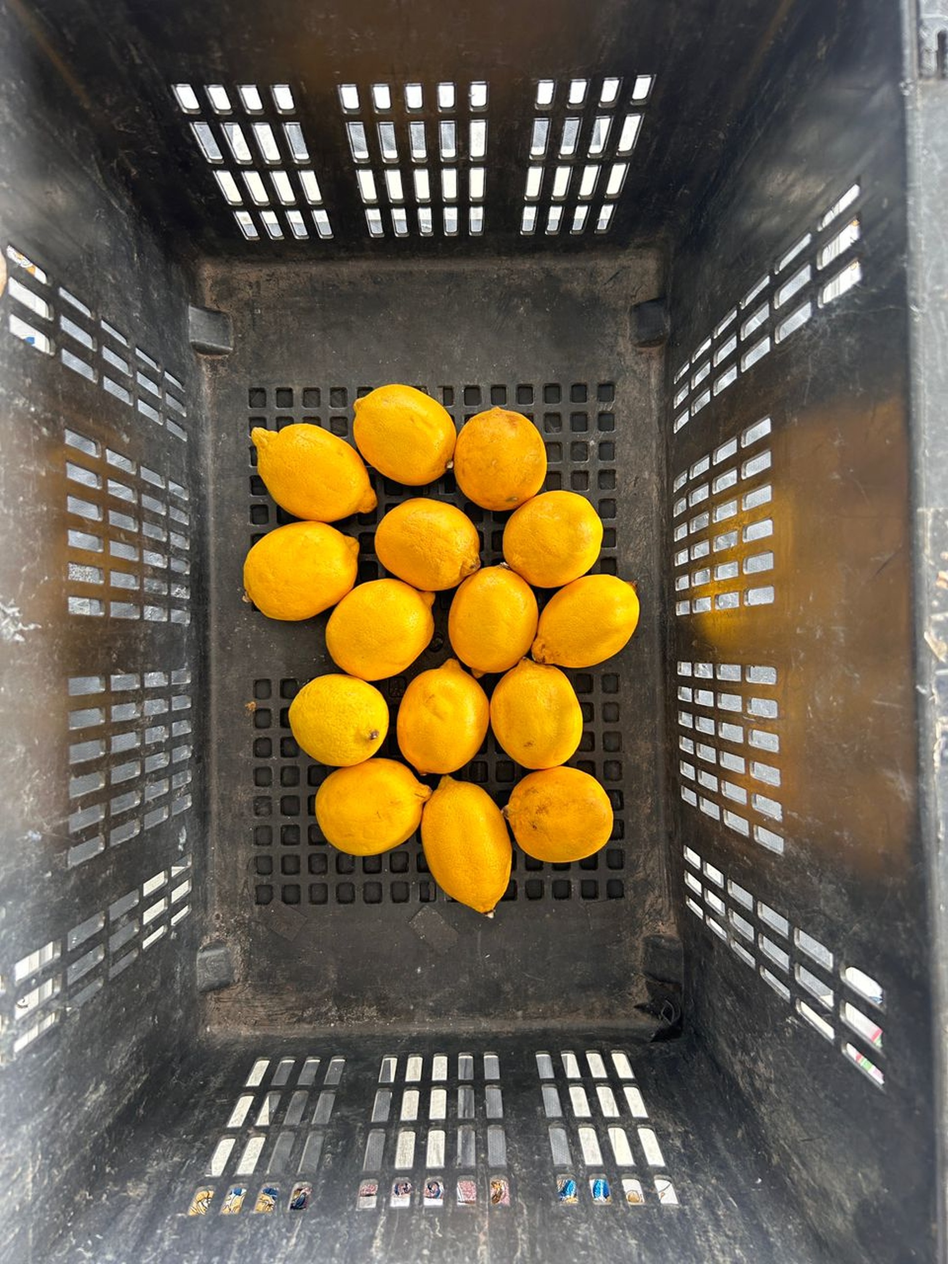 Lemon Dataset - Roboflow Universe