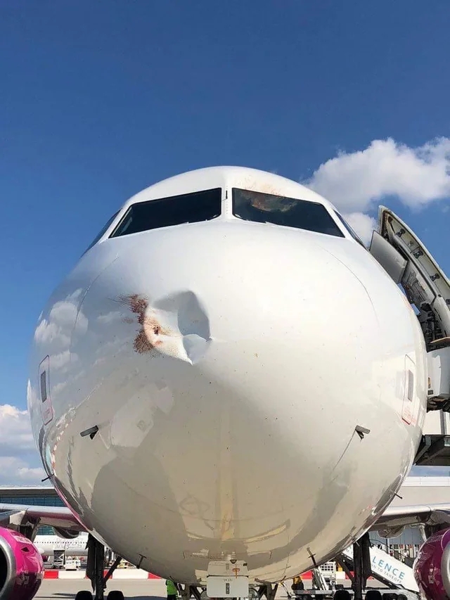 Aircraft Damage Detection Object Detection Dataset and Pre-Trained Model by song