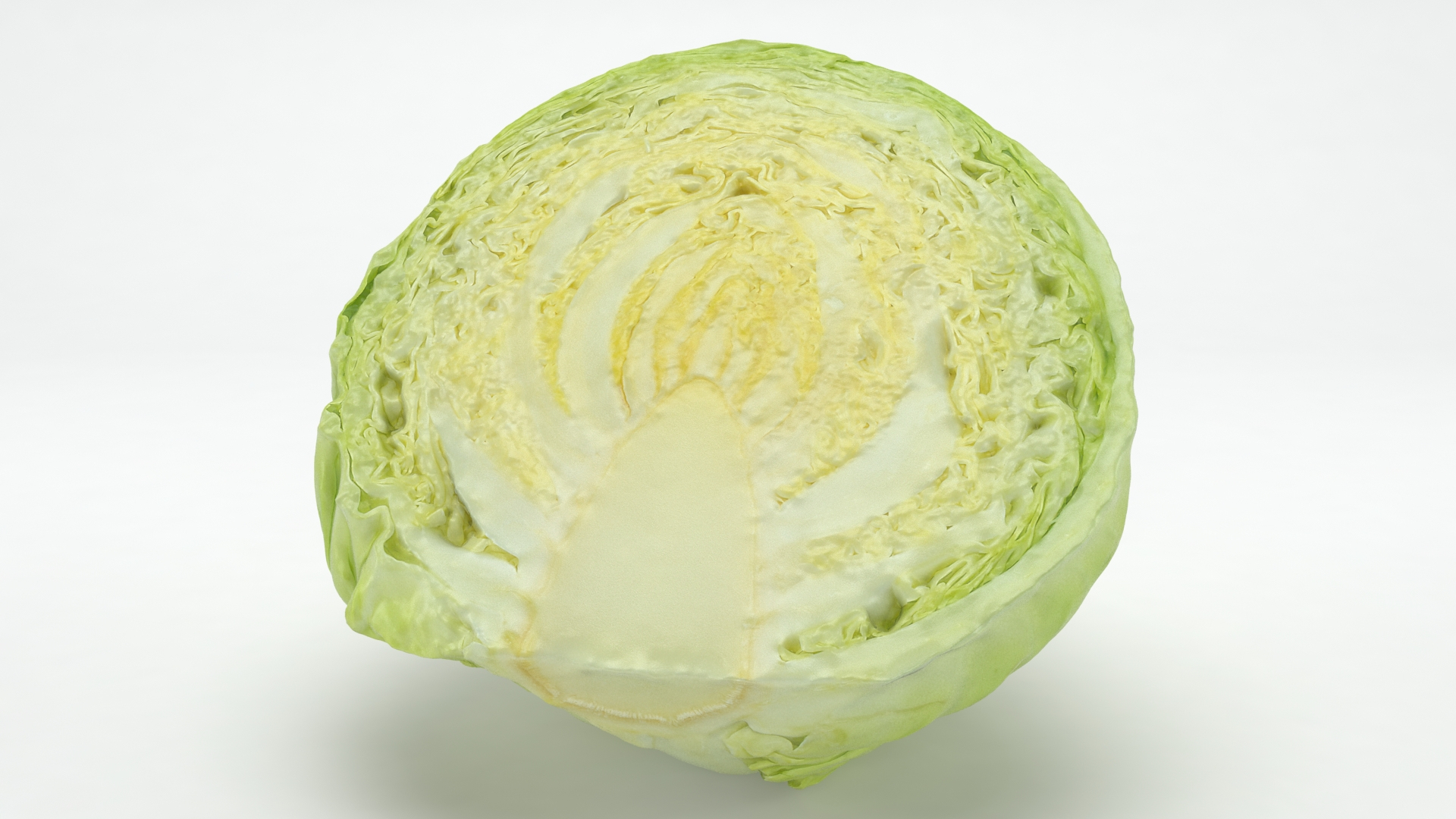 cabbage Object Detection Model by bsj