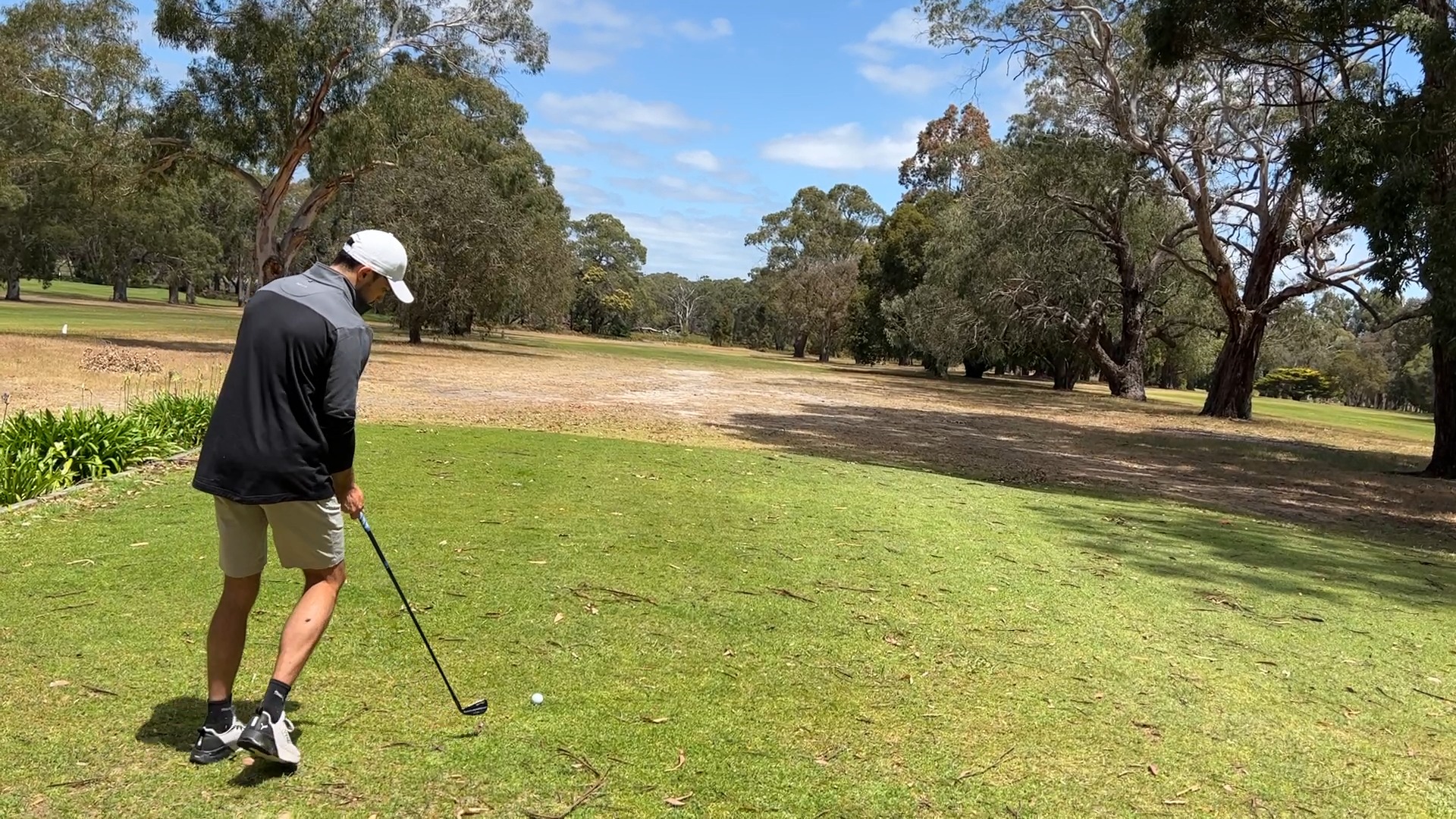 golf ball tracking 2 Object Detection Model by suyamoonai