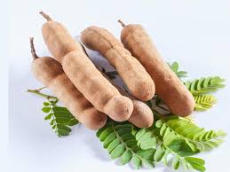 data Object Detection Dataset and Pre-Trained Model by desy