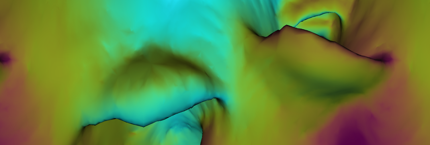 p_check Object Detection Dataset by P