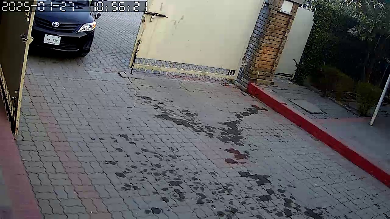 Number_Plate_Detection_CPEC_720 Object Detection Model by myelin