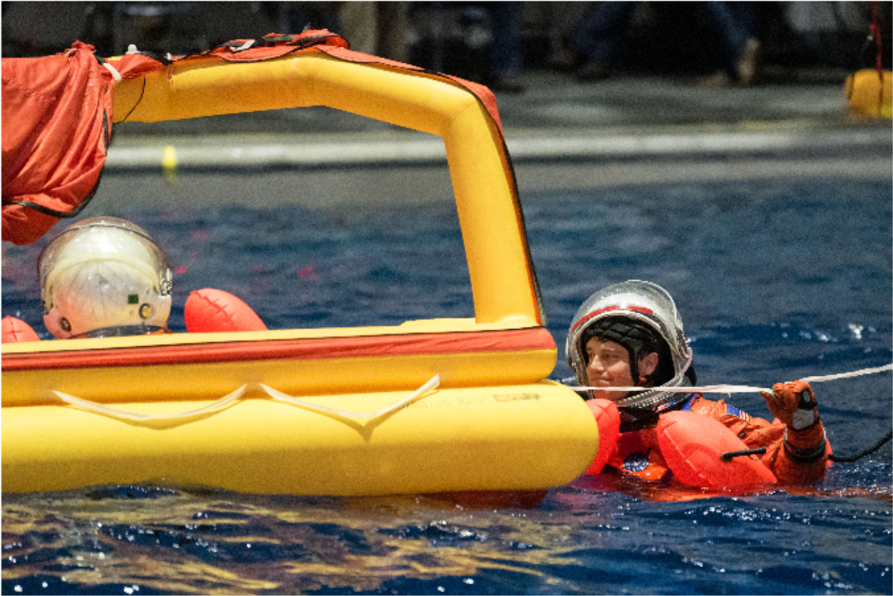 SEE LION Object Detection Dataset by 2024 CSI Microg NExT