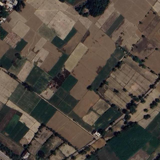 Detection Instance Segmentation Model by x