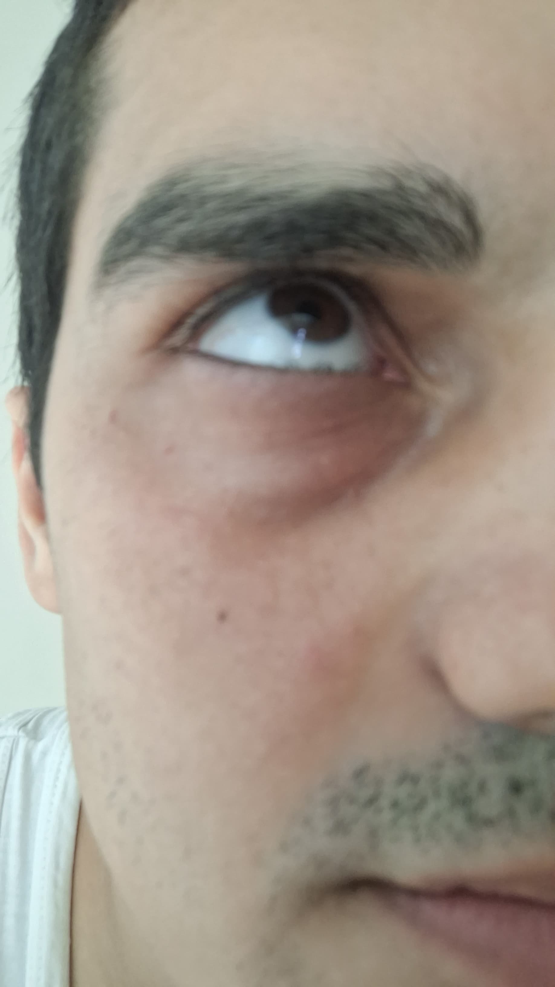 fake vs real Object Detection Model by Savaan