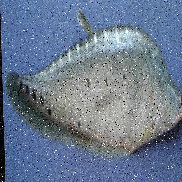 Fish behavior analysis Object Detection Model by GDOUJaychou