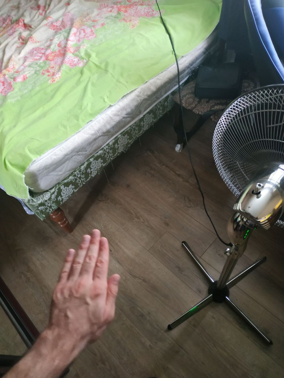 Hand Detection Object Detection Dataset By Championship