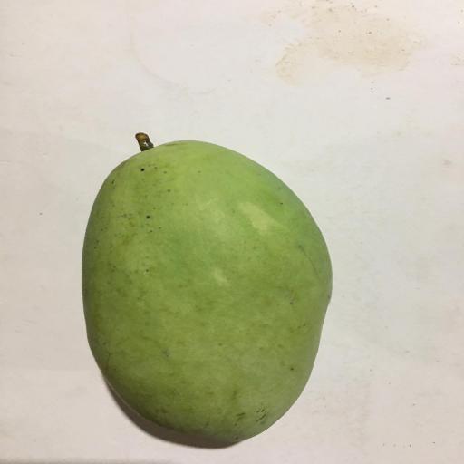 mango Classification Model by DS