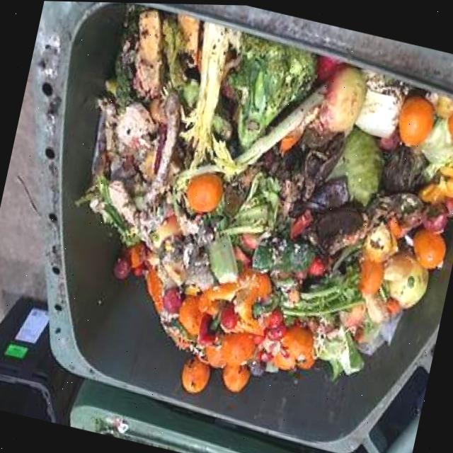 Intelligent Waste Monitoring Instance Segmentation Dataset by Hariss Workspace