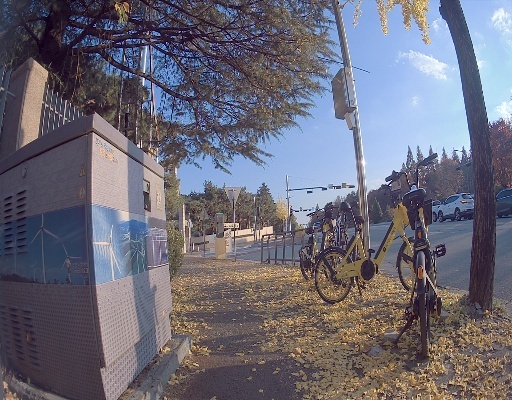 crosswalk Instance Segmentation Dataset by USRG2